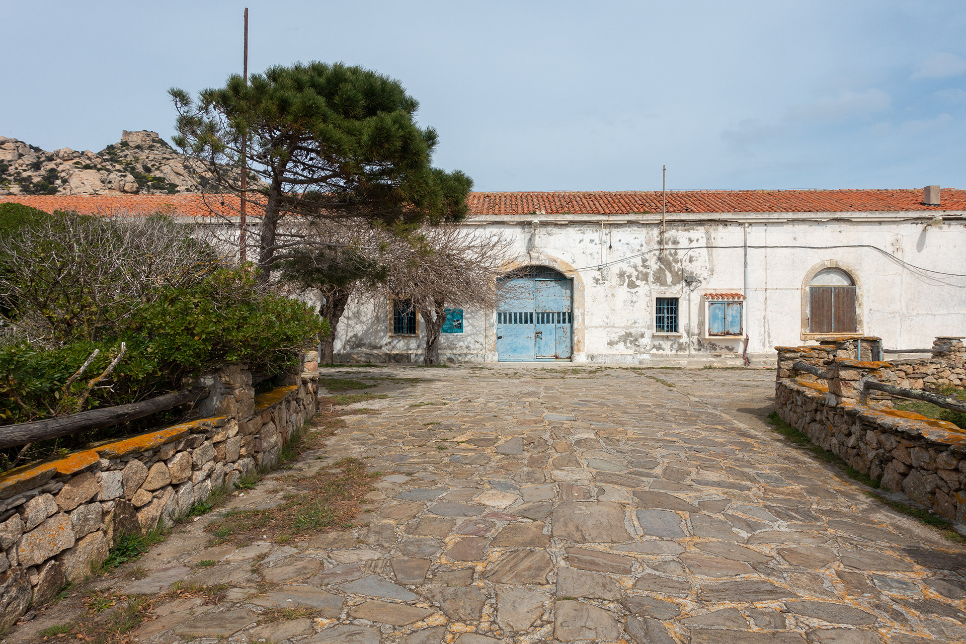 L'Isola dell'Asinara | Comune di Porto Torres